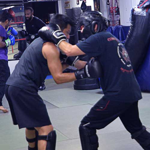 COMBATIVE M.M.A. ACADEMY | Combative Concepts Academy Of Martial Arts